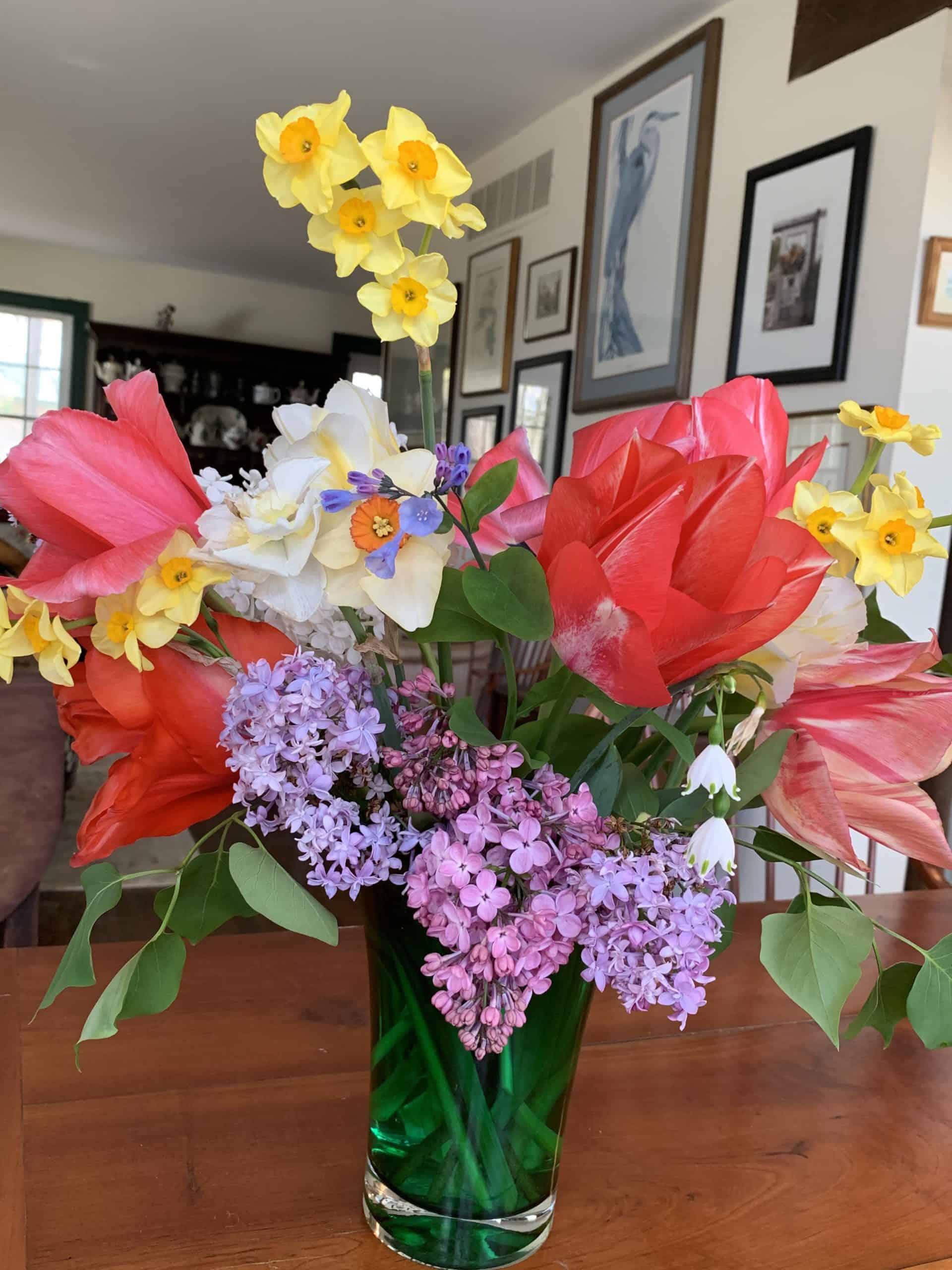 Violets: A Source of Spring Beauty, Health and Sweetness - Bay Weekly