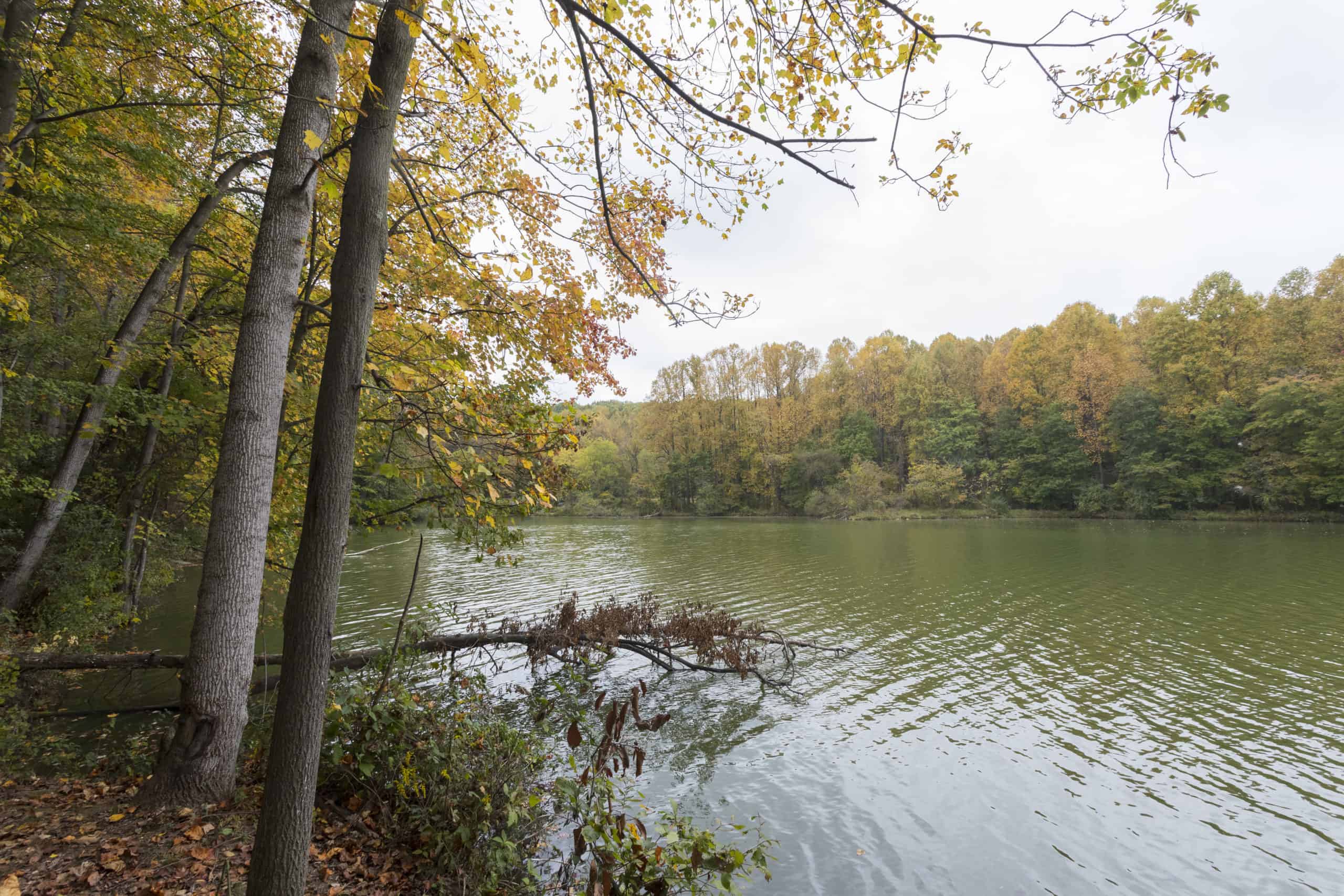 Autumn in Maryland - Bay Weekly