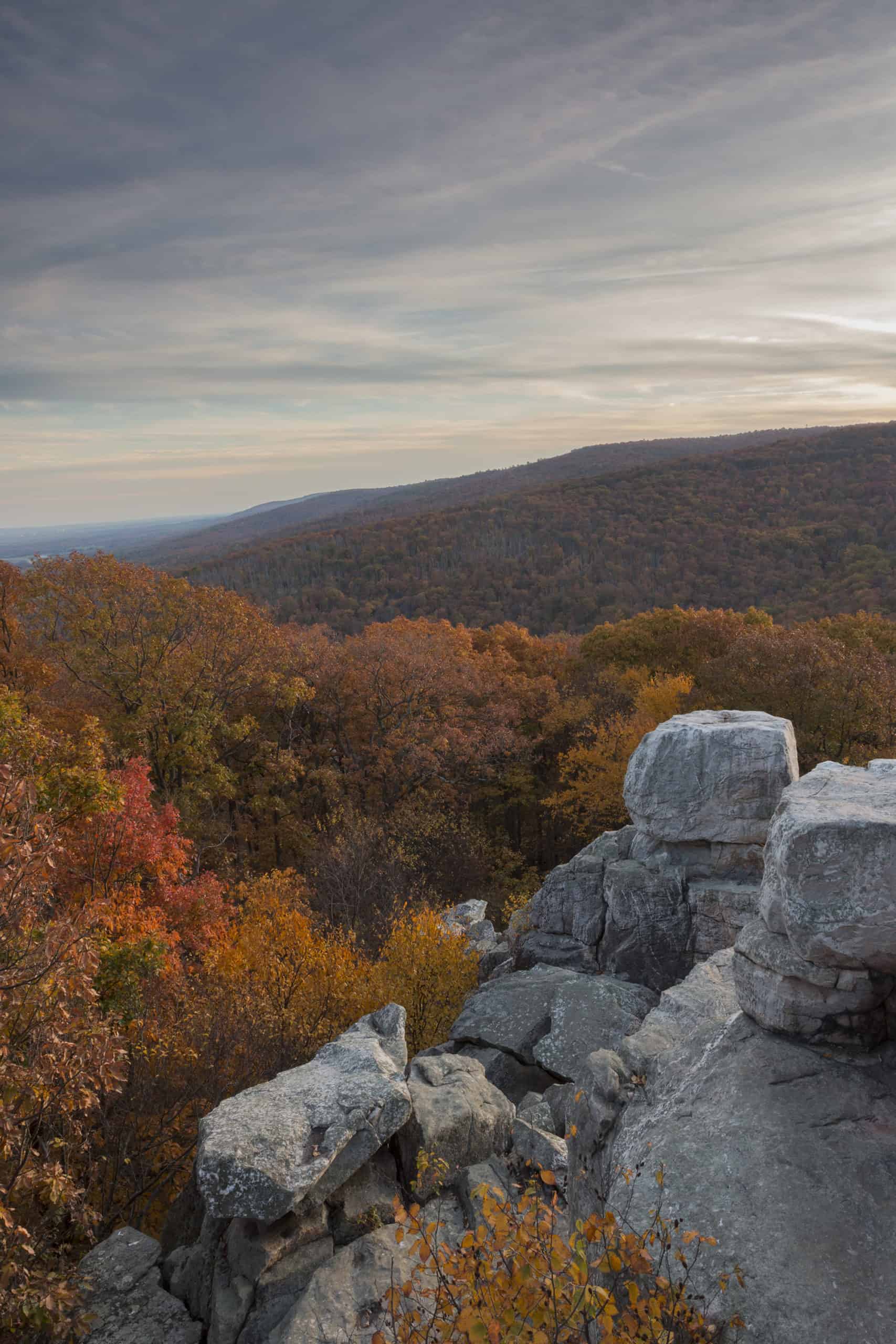 Autumn in Maryland - Bay Weekly