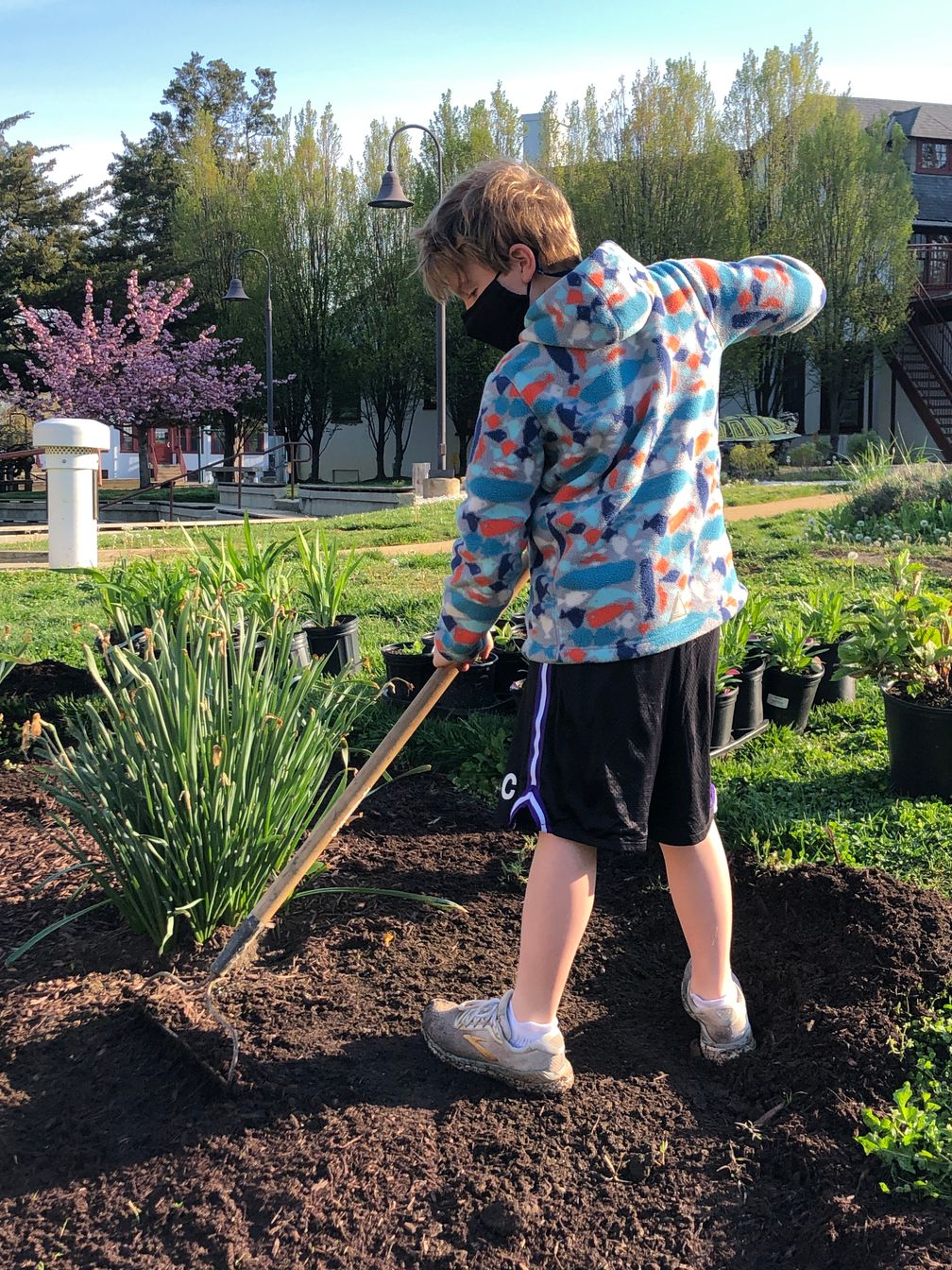 Grant Program Helps Gardens Grow - Bay Weekly