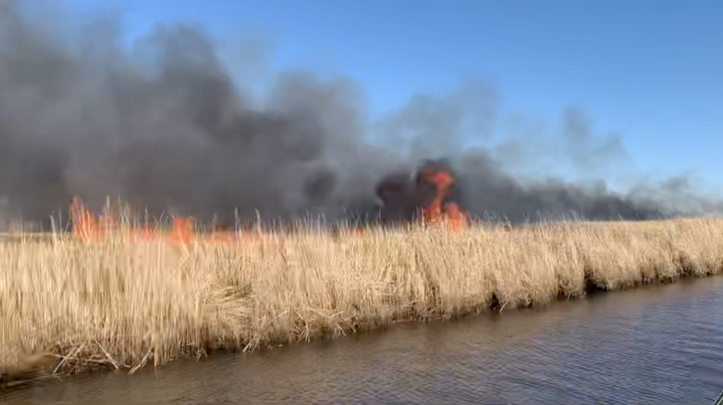 Prescribed Burns Consume 1,700 Acres of Marsh - Bay Weekly