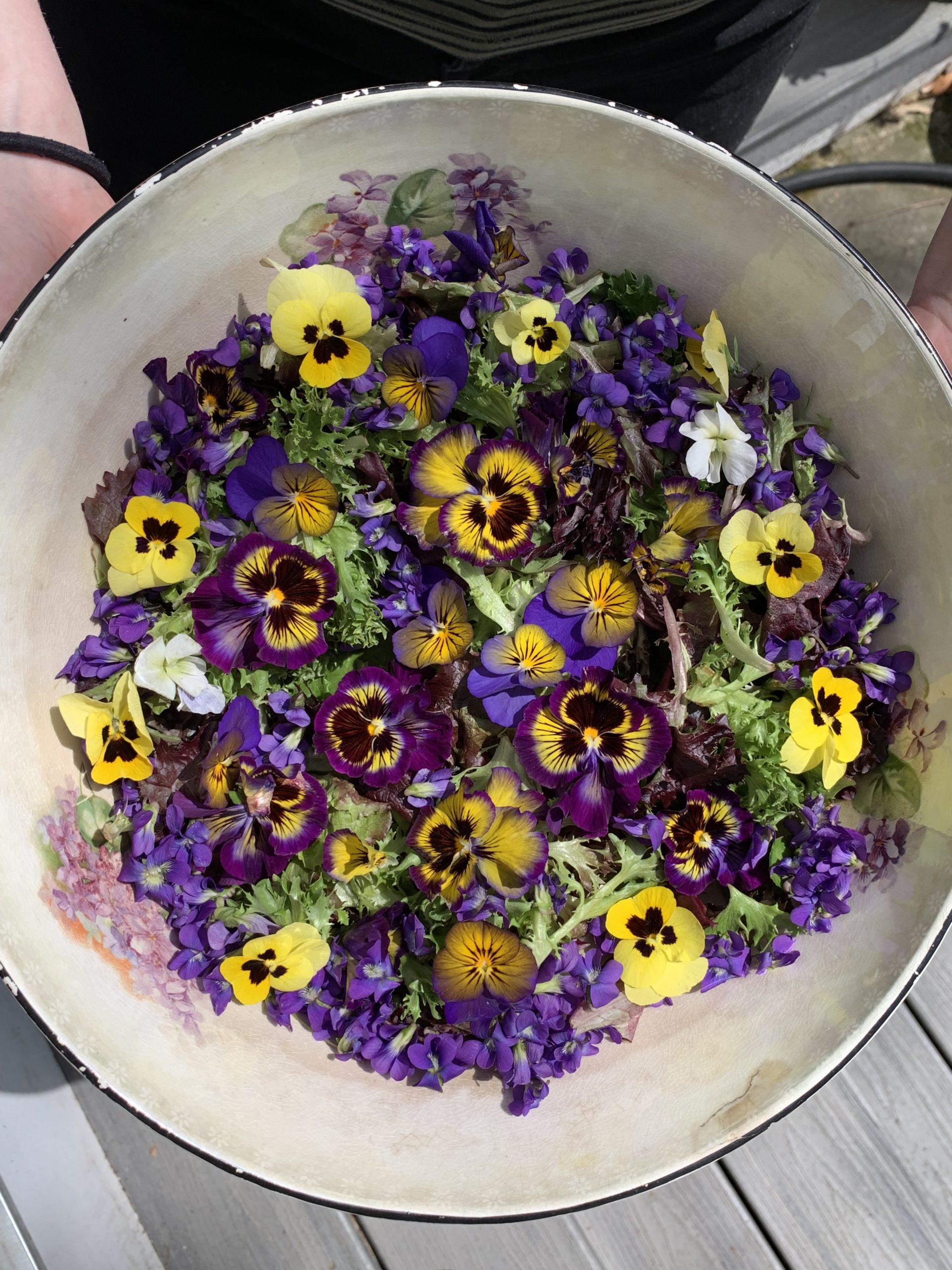 Gardening for Health - Bay Weekly