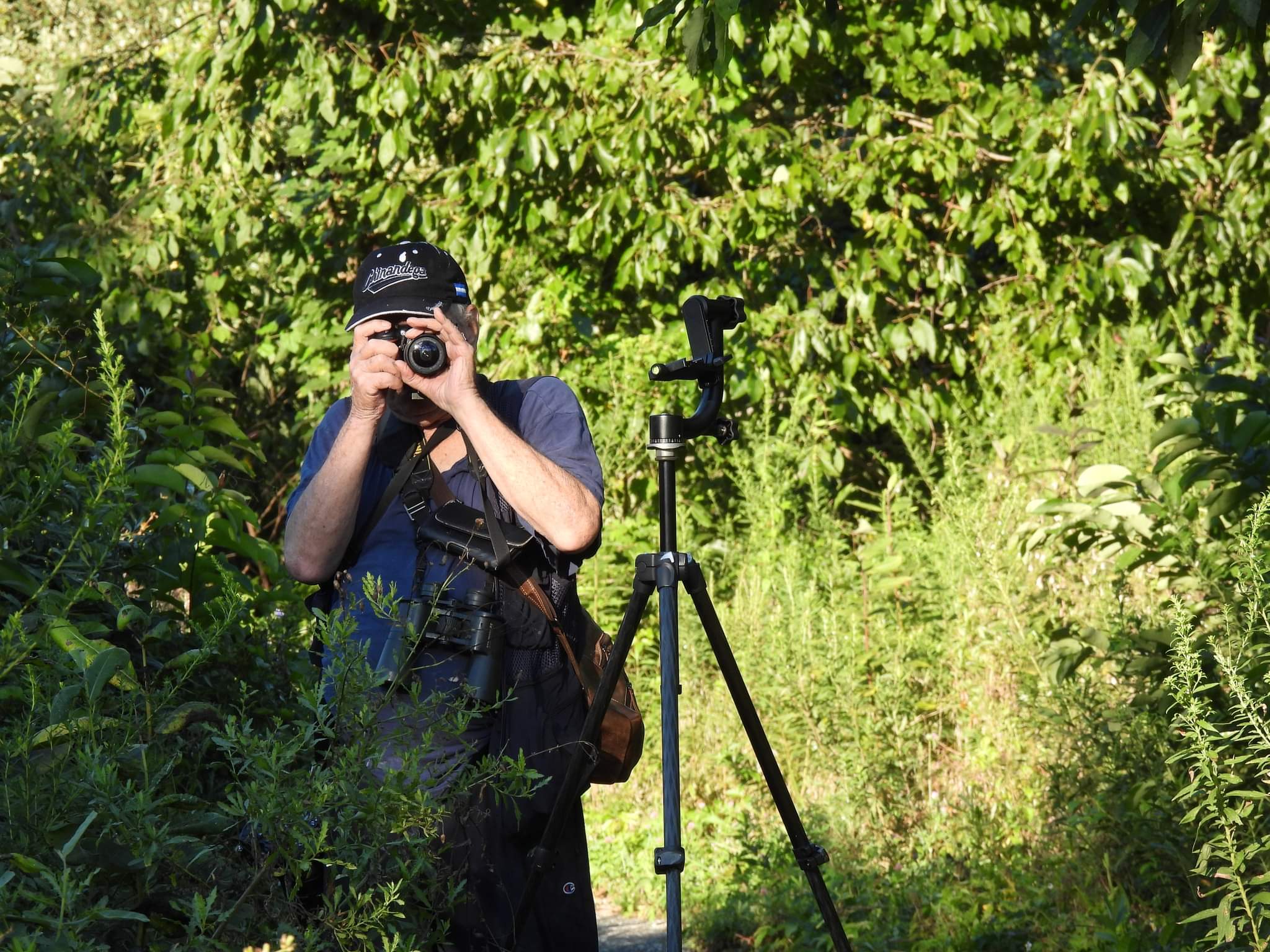 On the Hunt for Biodiversity - Bay Weekly