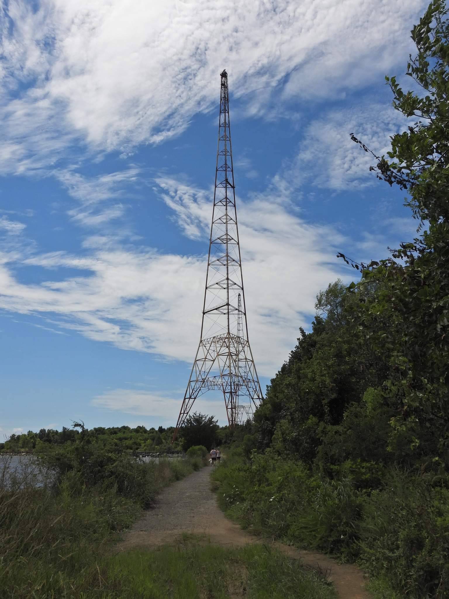 On the Hunt for Biodiversity - Bay Weekly