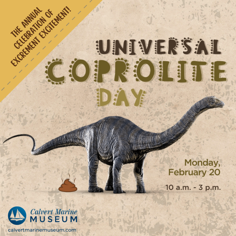 Universal Coprolite Day at Calvert Marine Museum - Bay Weekly